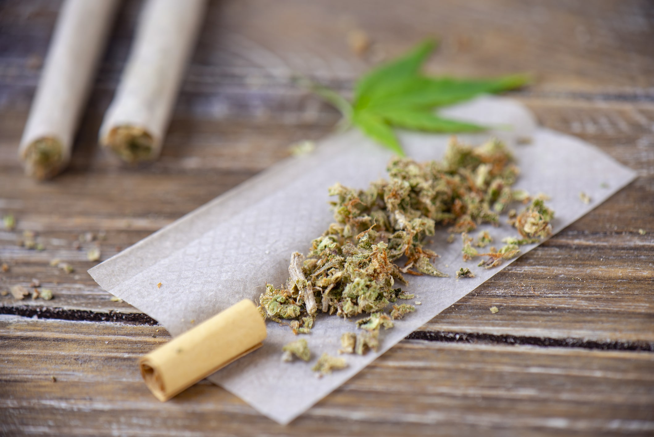 Blog - MedMen Weed Dispensary